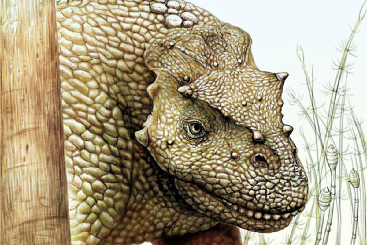 Spesies Baru Dinosaurus Herbivora dari Zaman Permian Ditemukan di Cina