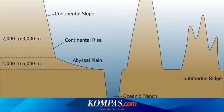 Siswa, Ini 5 Fakta Palung Mariana