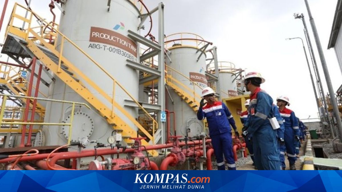 Kado 80 Tahun RI, Pertamina Luncurkan Proyek Energi Strategis untuk ...