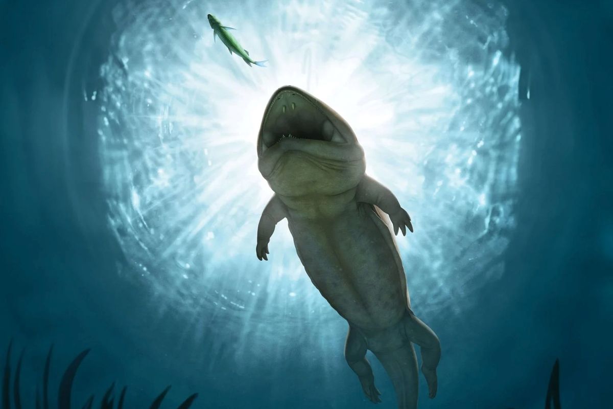 Fosil Amfibi Raksasa Berusia 240 Juta Tahun Ditemukan di Tumpukan Batu ...