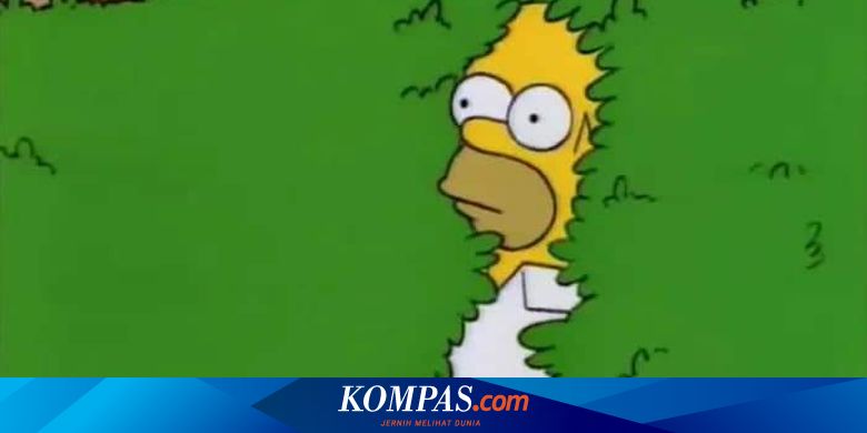 Meme Ikonik The Simpsons Dituangkan dalam Sepatu Legendaris Adidas