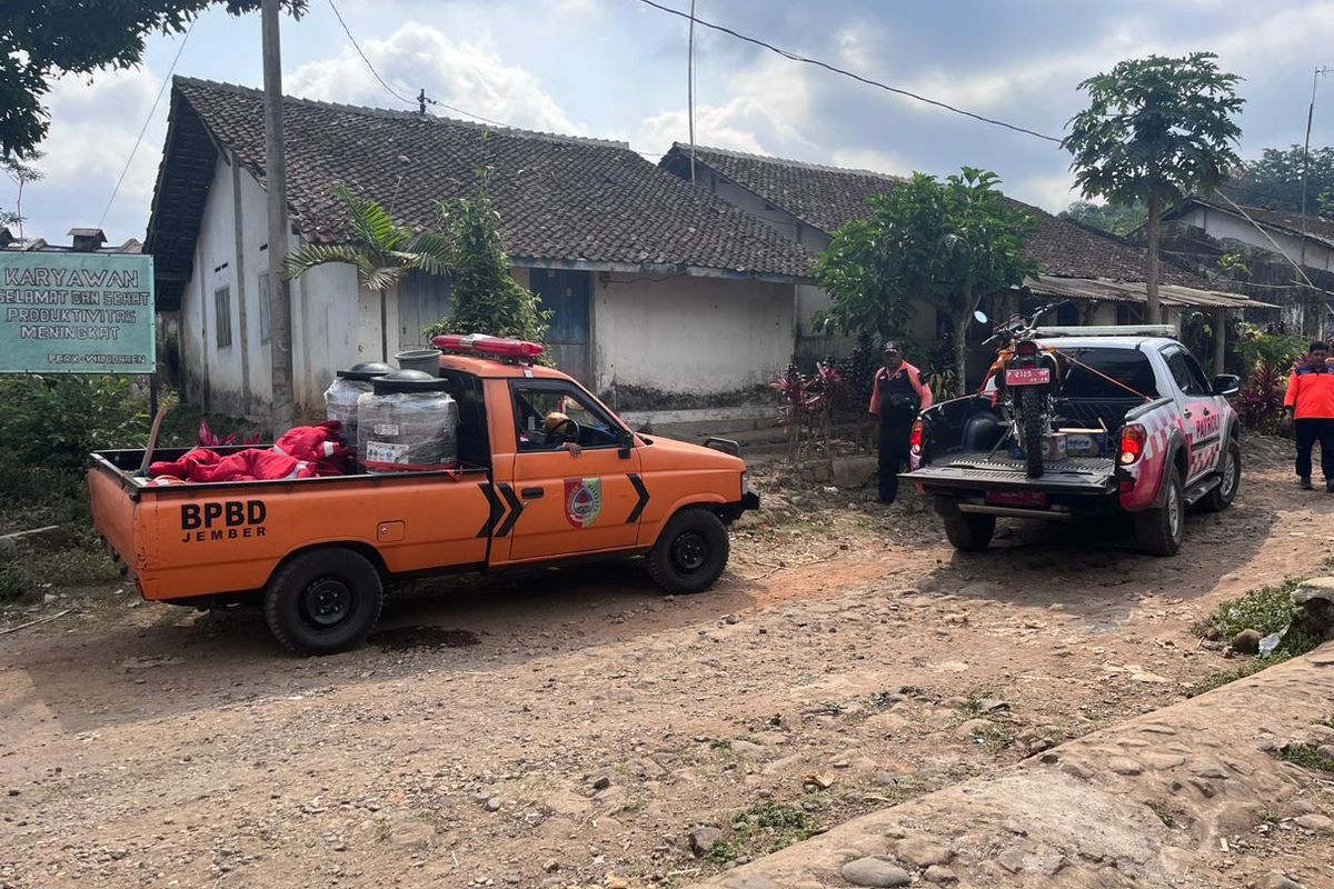 Hutan di Lereng Argopuro Jember Terbakar, Pemadaman Terkendala Medan