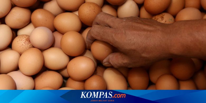 Soal Telur Infertil, Adakah Perbedaan Nilai Gizi dengan Telur Fertil?