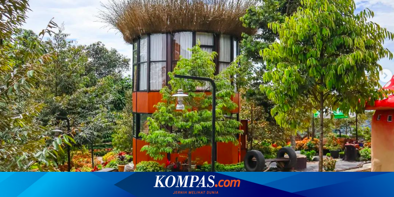 6 Aktivitas di The Farm Pancawati Bogor, Bisa Piknik di Kebun Jati