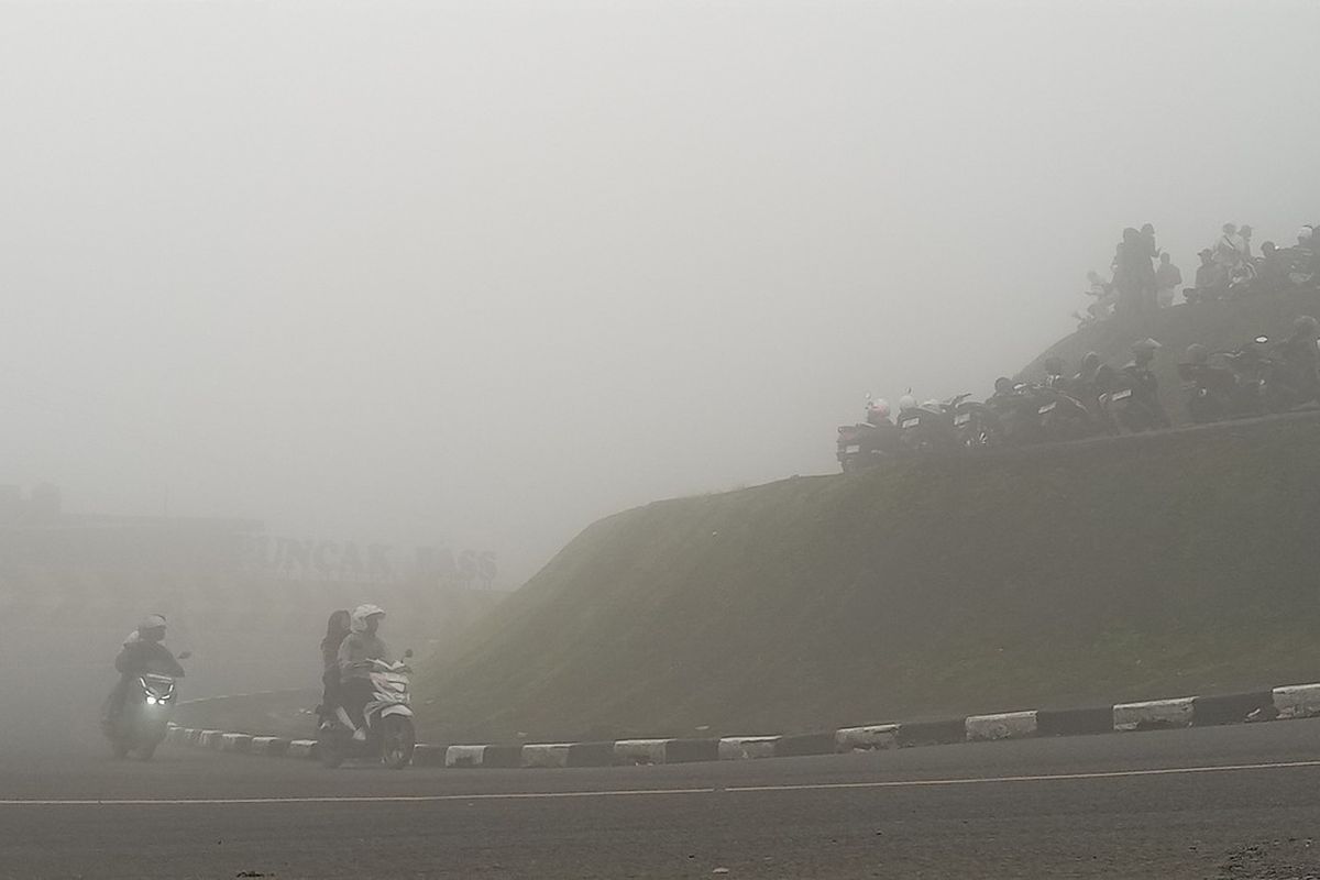 Taman Safari Bogor Diselimuti Kabut Tebal, Pengelola Keluarkan Imbauan ...