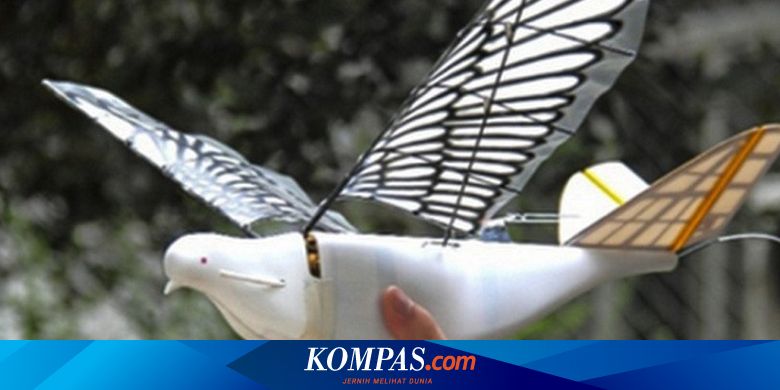 China Kembangkan Robot Burung untuk Keperluan Mata-mata