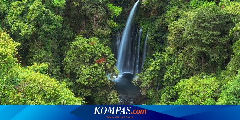 Air Terjun Tiu Kelep Lombok Utara Keindahan Alam Kaki Gunung Rinjani