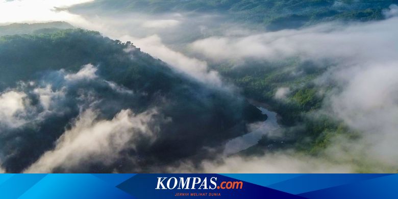 Berita Harian Jetama Mangunan Terbaru Hari Ini - Kompas.com