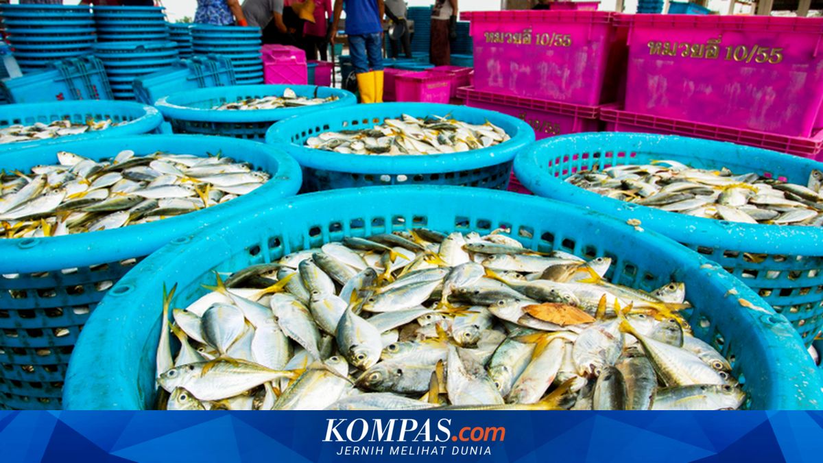Ingatkan Pemprov DKI Jangan Buru-buru soal "Food Estate", Pakar: Agar ...