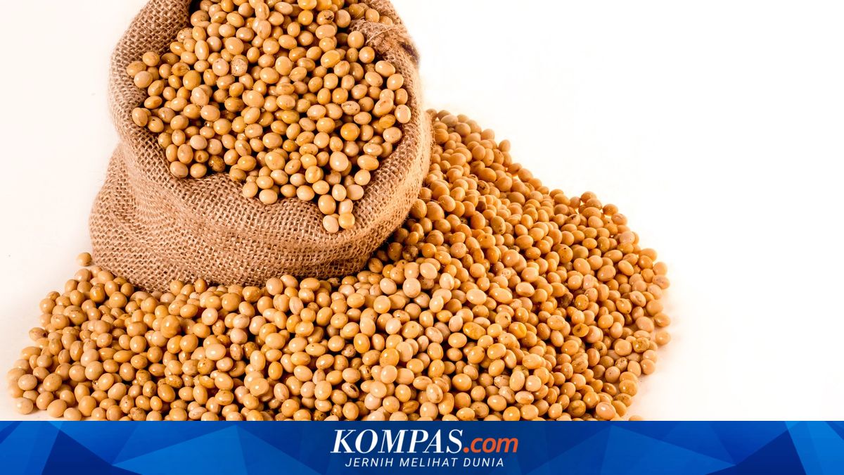 Terusan Suez Lumpuh, Bos Bulog Pastikan Impor Kedelai dan Beras Tak ...