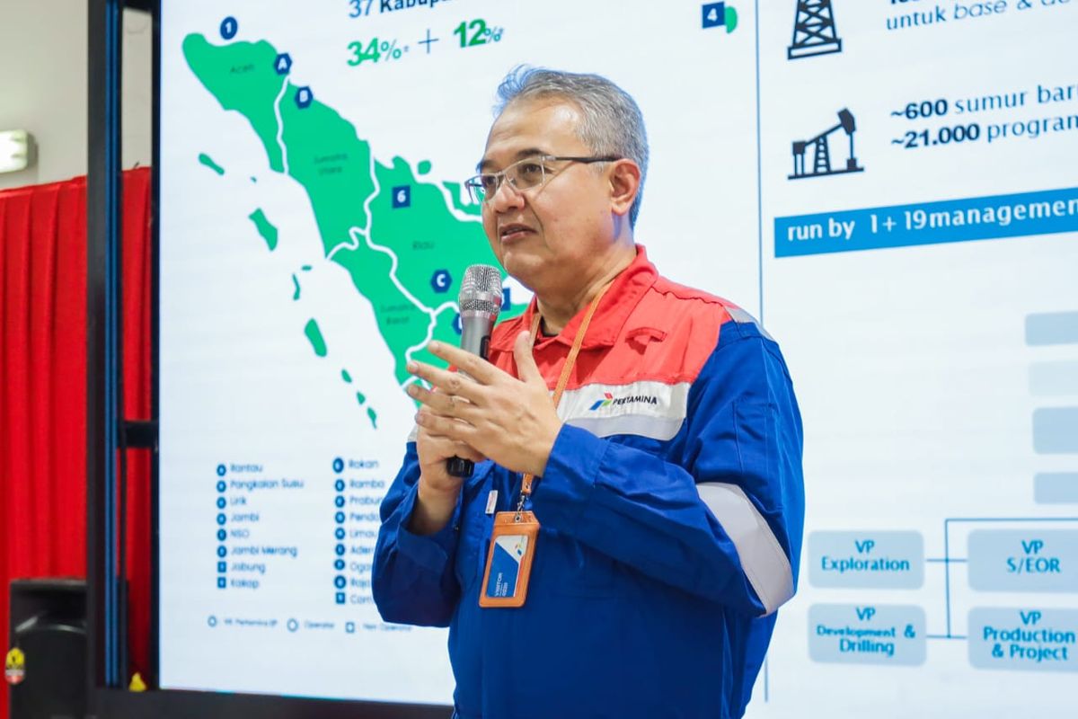 SKN New Train Disiapkan Jadi Tulang Punggung Gas Sumatra