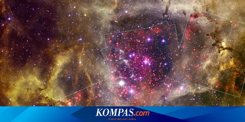 "Mawar-mawar" di Angkasa, Seperti Apa Wajahnya?