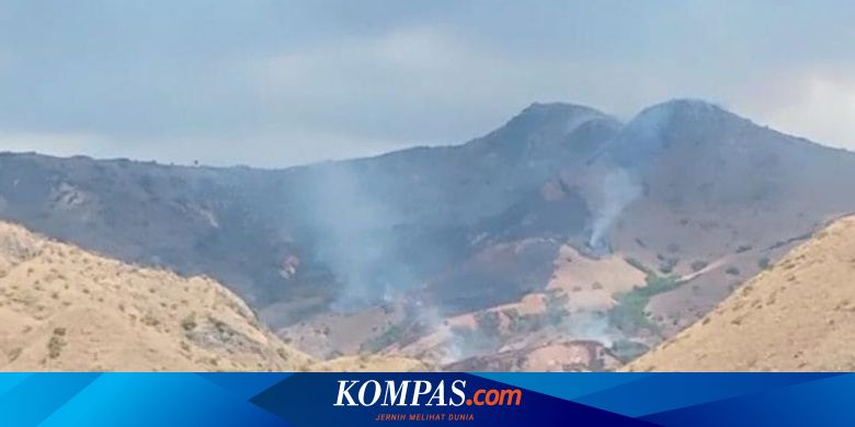 Sabana di Pulau Komodo NTT Terbakar, Fasilitas Wisata dan Komodo Aman