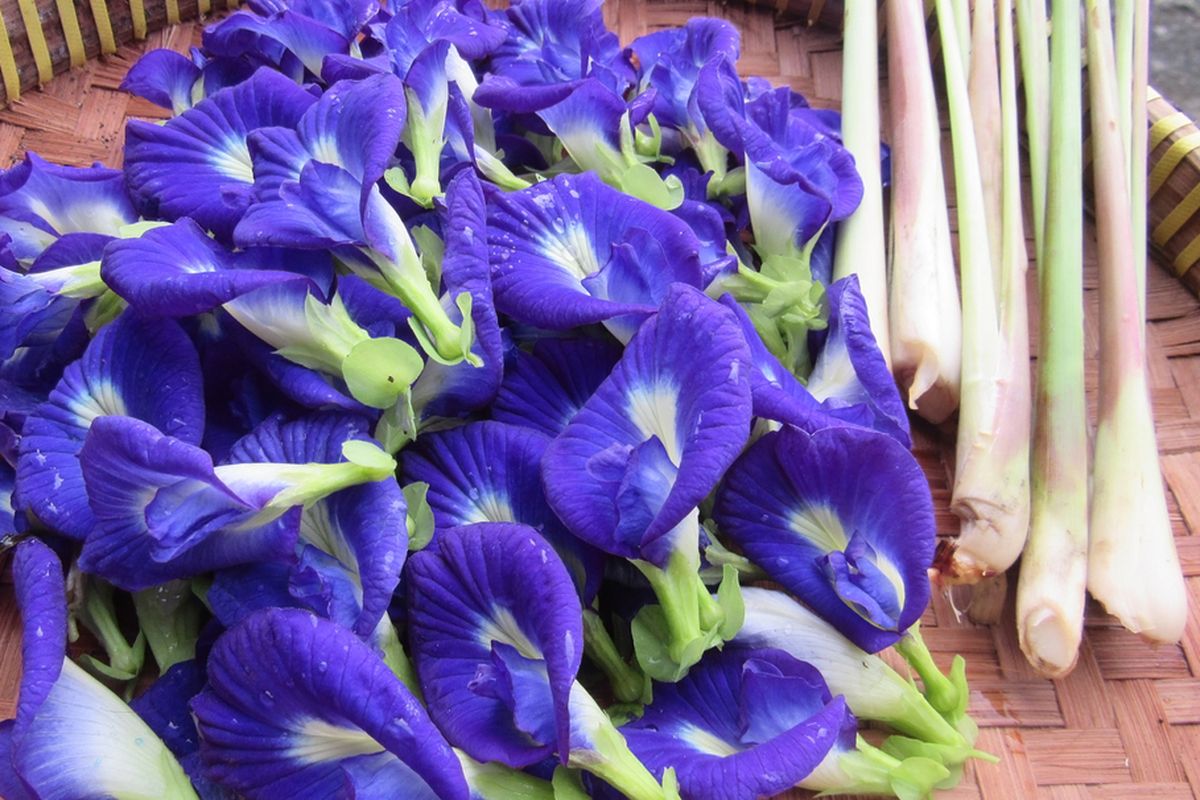 6 Manfaat Bunga Telang, Ampuh Cegah Garis Halus dan Kerutan di Kulit