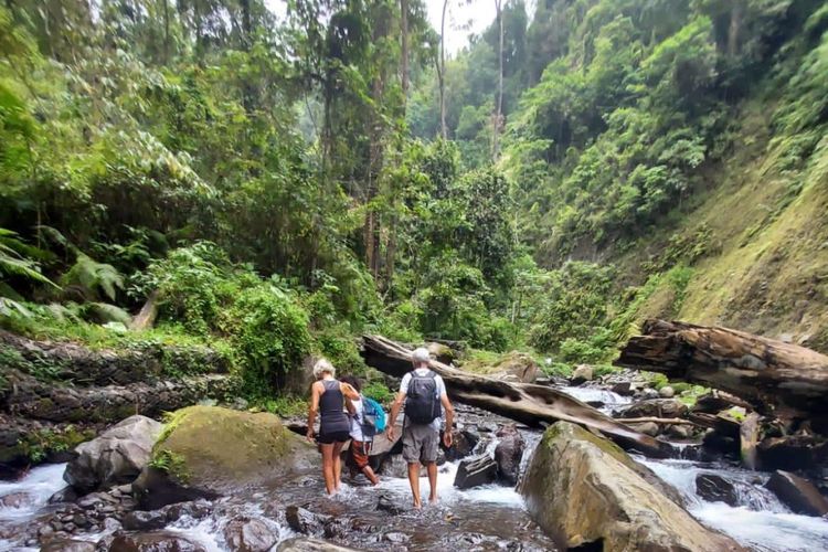 Air Terjun Tiu Kelep Lombok Utara Keindahan Alam Kaki Gunung Rinjani