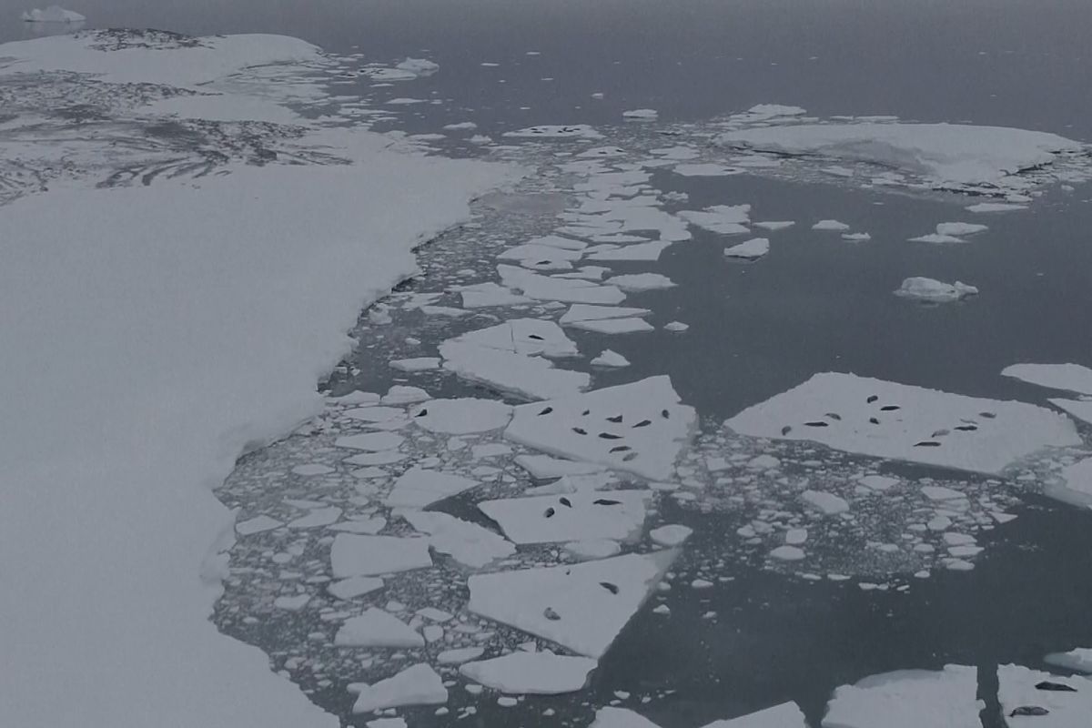 Air Gletser di Alaska Jernih, Apakah Aman Diminum?
