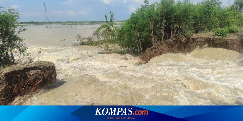 Tanggul Sungai Tuntang Jebol di Dua Titik, Banjir Meluas di Demak