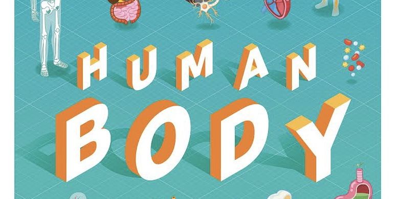 Lift the Flap: Human Body - Kompas.com