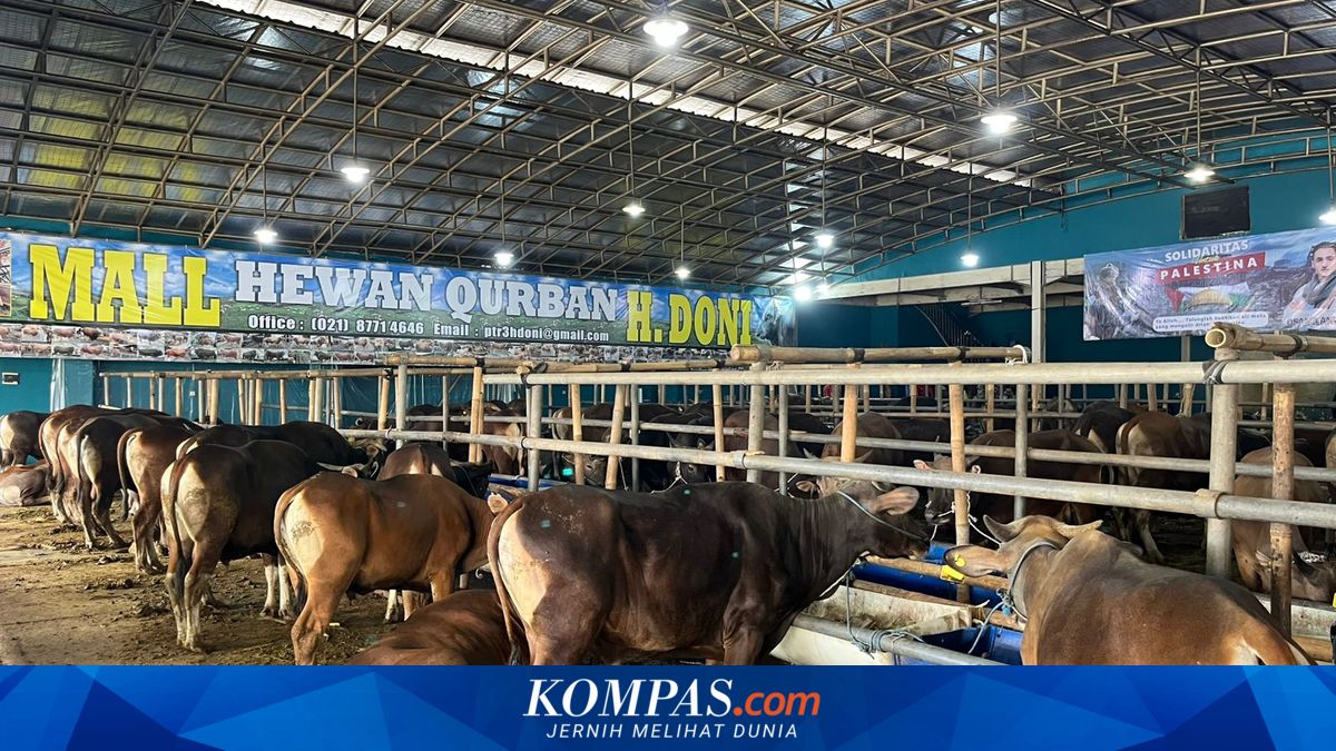 Jelang Idul Adha, 6.800 Sapi Terjual di Mall Hewan Qurban Haji Doni