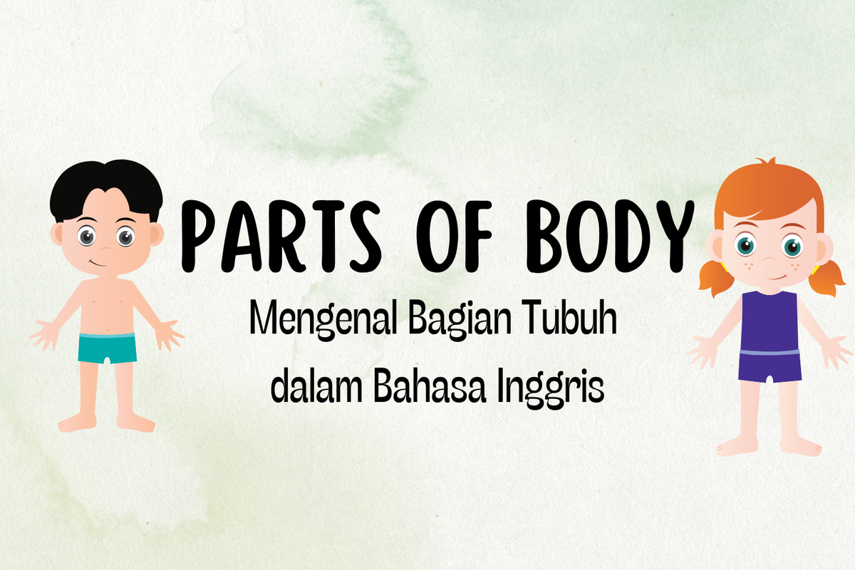 Parts of Body, Mengenal Bagian Tubuh dalam Bahasa Inggris