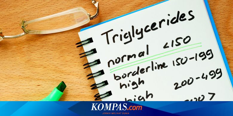 Kenali Apa itu Trigliserida dan Kadar Normalnya agar Tubuh Tetap Sehat