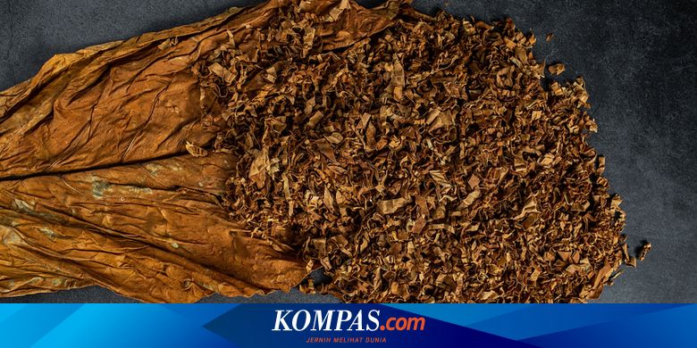 Kenali Apa Itu Nikotin dan Efek Sampingnya