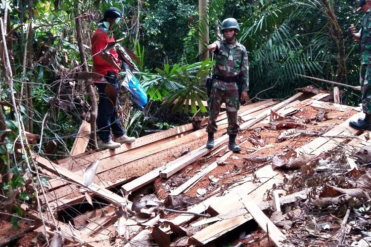 Pelaku "Illegal Logging" Tinggalkan Ratusan Kubik Kayu di Hutan Lindung Nunukan