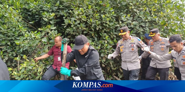 Berita Harian Hutan Mangrove Angke Kapuk Pik Terbaru Hari Ini - Kompas.com