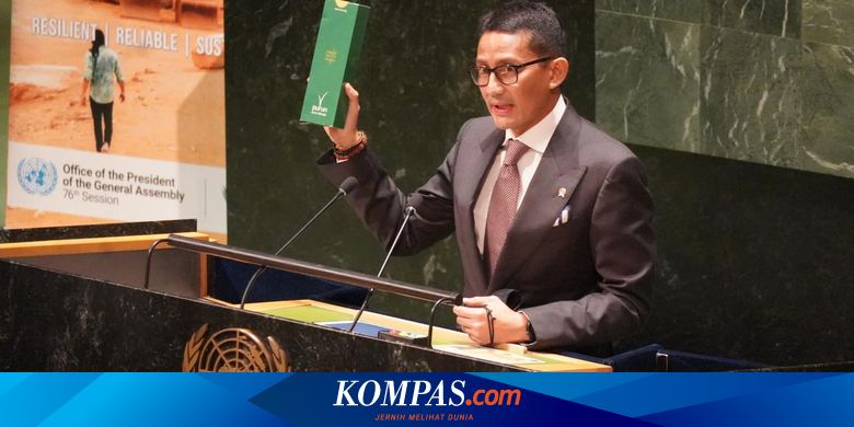 Rumput Purun Belitung Diboyong ke Markas PBB, Ini Fungsinya