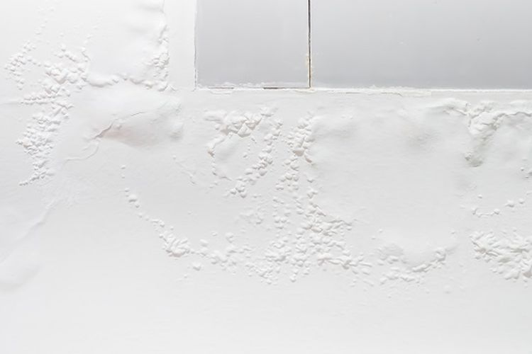 Penyebab dan Cara Memperbaiki Cat Dinding yang Menggelembung