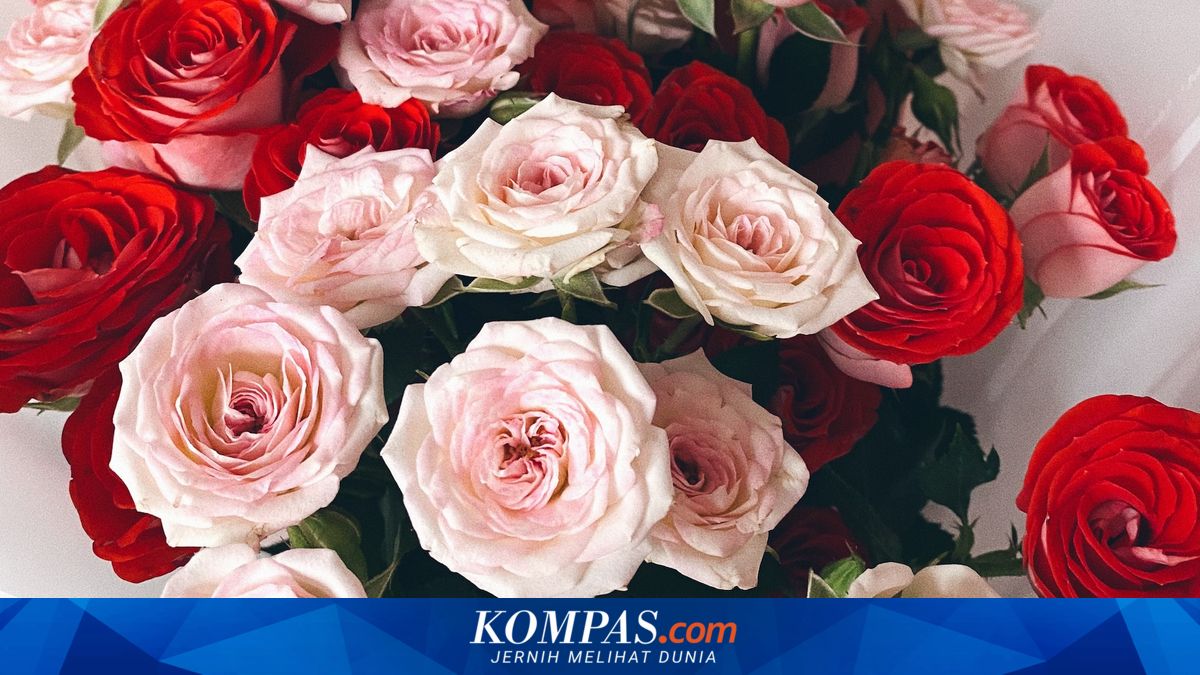 Benarkah Air Gula Bikin Bunga Mawar Lebih Awet dan Segar?