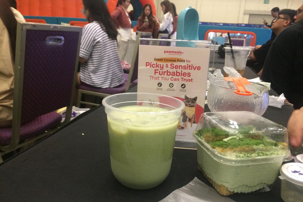 Ternyata Anjing Bisa Minum Matcha, Ini Resepnya