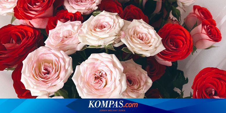Berita Terkini Harian Bunga Untuk Pacar Terbaru Hari Ini - Kompas.com