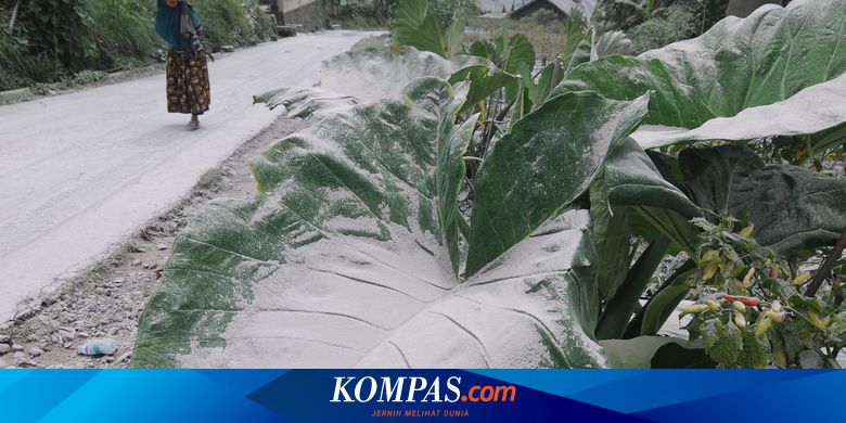 Pasca-hujan Abu Vulkanik Gunung Merapi, BPBD Boyolali Pastikan Tak Ada ...