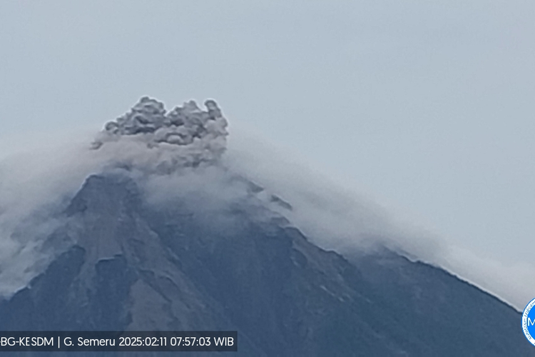Foto : Gunung Semeru 6 Kali Erupsi, Semburkan Kolom Abu Setinggi 800 Meter