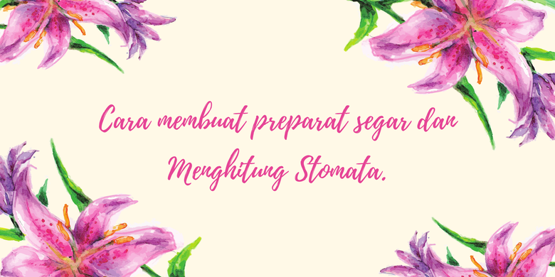 Foto : Cara Membuat Preparat Segar dan Menghitung Stomata