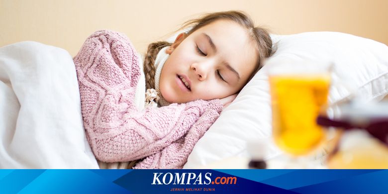 2 Perbedaan Demam Berdarah dan Demam Berdarah Dengue