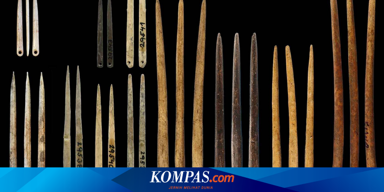 Jarum Diciptakan 40.000 Tahun Lalu di Eurasia Timur