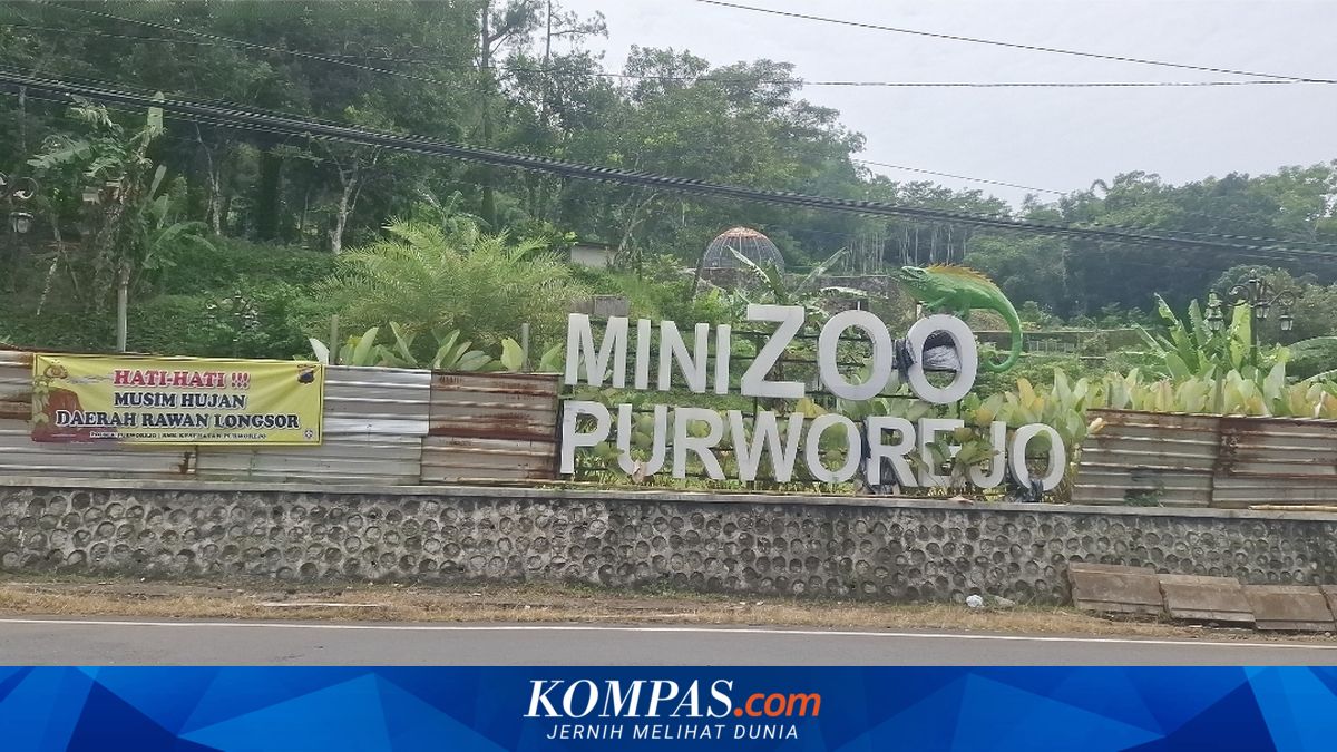 Modus Mega Korupsi Mini Zoo Purworejo, Uang Rp 6,5 Miliar Raib dari ...