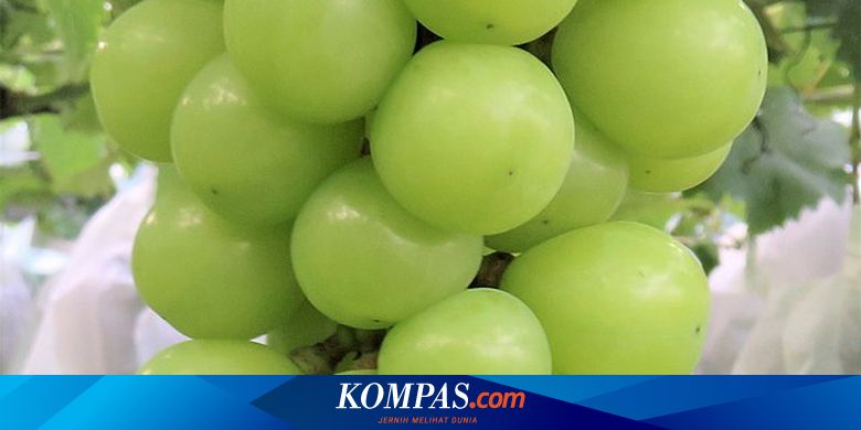 5 Cara Olah Anggur Shine Muscat dengan Mudah dan Lezat