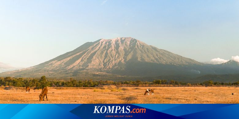Sabana Tianyar, Tempat Wisata Eksotik ala Afrika di Bali Timur