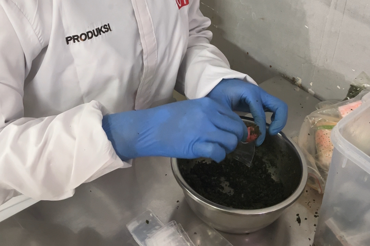 Mampir ke Pabrik Cimol Bojot AA di Bandung, Produksi 1 Ton Cimol Sehari