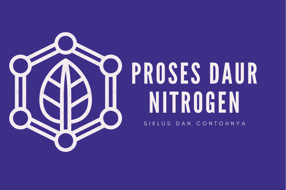 Proses Daur Nitrogen, Siklus dan Contohnya