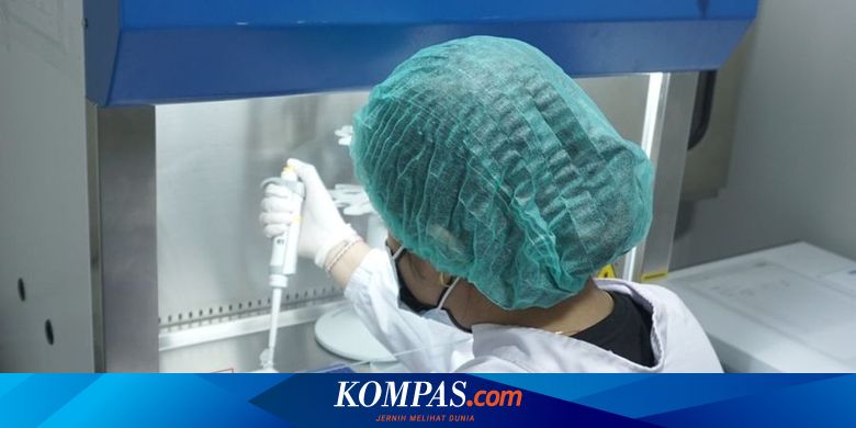 Mengenal Jurusan Farmasi dan Prospek Kerja Lulusannya