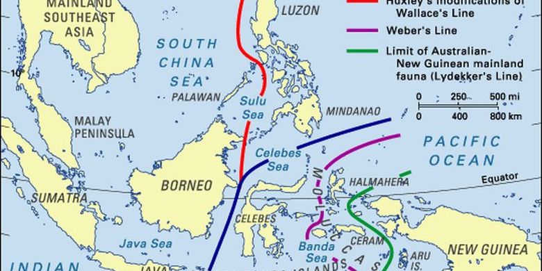 Mengenal Garis Wallace dan Weber