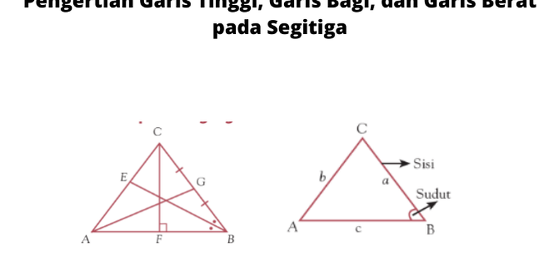 Pengertian Garis Tinggi, Garis Bagi, dan Garis Berat pada Segitiga