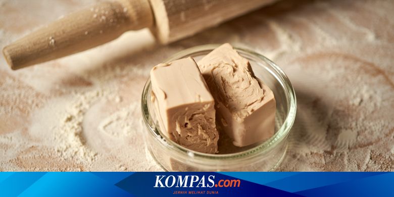Berita Harian Apa-itu-ragi-segar Terbaru Hari Ini - Kompas.com