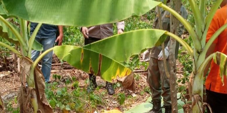 Berita Harian Pegawai Rsud Karawang Tewas Terbaru Hari Ini - Kompas.com Berita Harian Pegawai Rsud Karawang Tewas Terbaru Hari Ini - Kompas.com