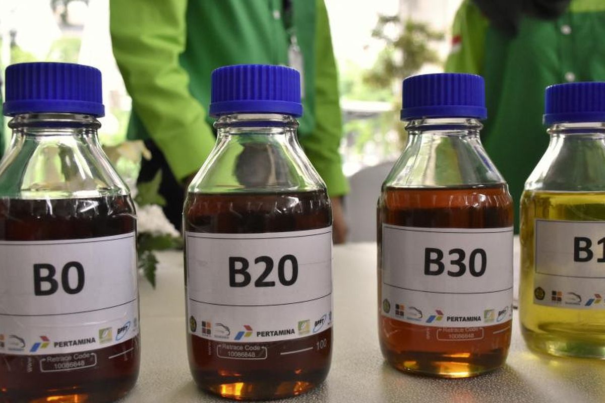 Kebijakan Biodiesel B50 Perlu Hitung Matang agar Sawit Indonesia Tetap ...