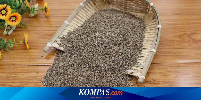 15 Fakta Jintan, dari Asal hingga Penggunaannya
